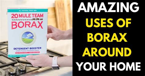 40 Amazing Borax Uses For Cleaning Health And Gardening Stylepersuit