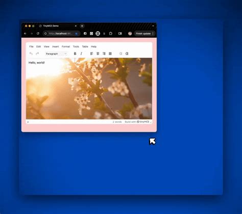 How To Resize An Image Using Css Best 3 Methods Tinymce