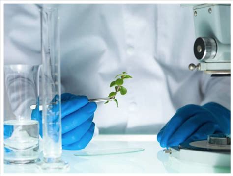 Curioustem What Is Biochemistry