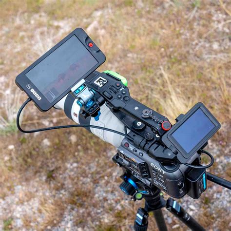 Gear Testing Filming Bison At Antelope Island State Park