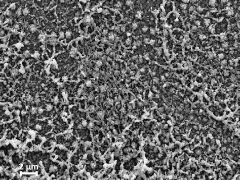 Shows The Sem Image Of The Uniformly Distributed Cu Nanoclusters On Top Download Scientific