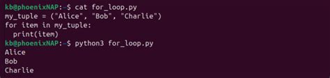Python For Loop Syntax Usage Examples