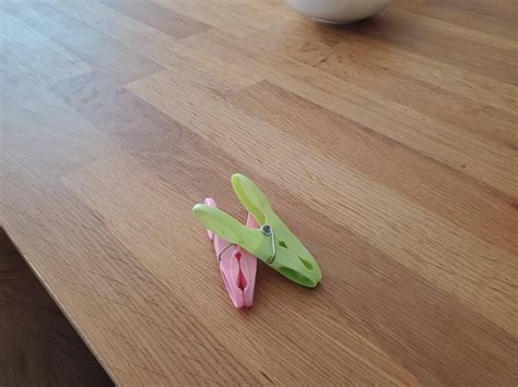 Spotted These Two In My Kitchen R Cosmoandwanda