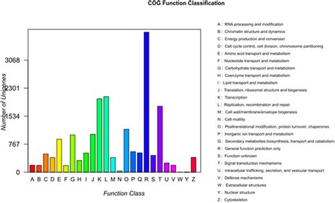 the result of cog function classification download scientific diagram