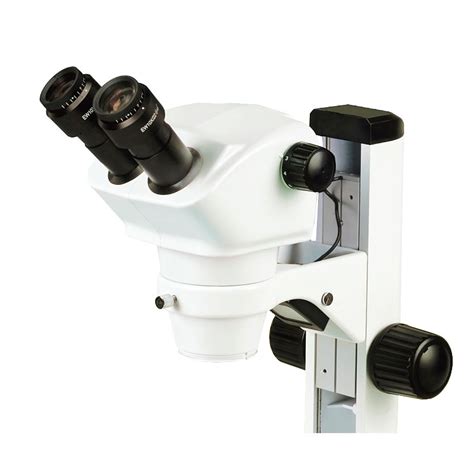 Microscopio Binocular De Laboratorio Yr0254 Kalstein