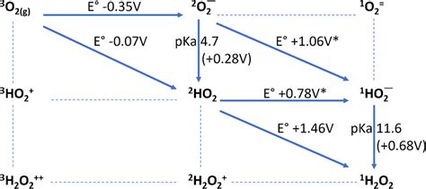 Oxygen Reduction Reaction At Conducting Polymer Electrodes In A Wider