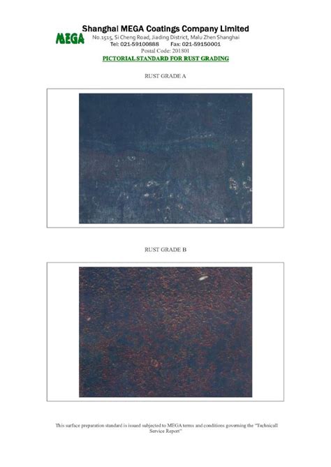 PDF Pictorial Rust Grade DOKUMEN TIPS