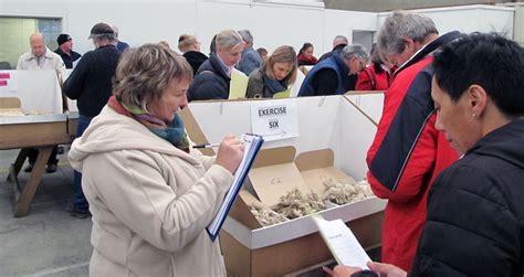 Contact Wool Classers Association