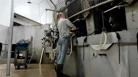Learn More About A Water Buffalo Farm Canadian Food Focus