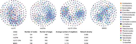 Bacterial Interaction Networks And Network Topological Properties Of Bt