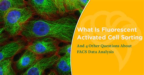 What Is Fluorescent Activated Cell Sorting And 4 Other Questions About