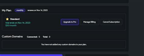 Custom Domains On Standard Plan