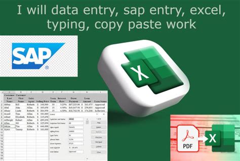 data entry sap entry excel typing copy paste work by billa 02 fiverr