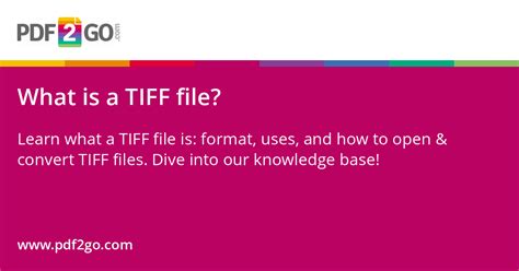 What Is A Tiff File