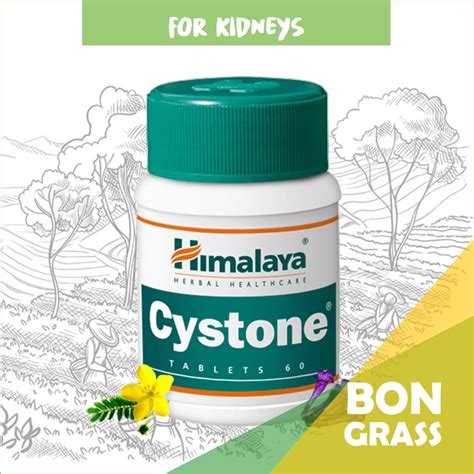 Цистон средство для почек Cystone Himalaya 60 таблеток купить в Москве ...