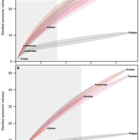 Genus A And Species B Sized Based Rarefaction Curves Per Time