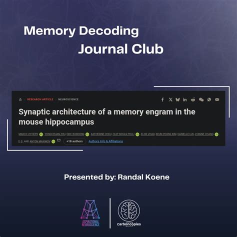 Memory Decoding Journal Club Synaptic Architecture Of A Memory Engram In The Mouse Hippocampus