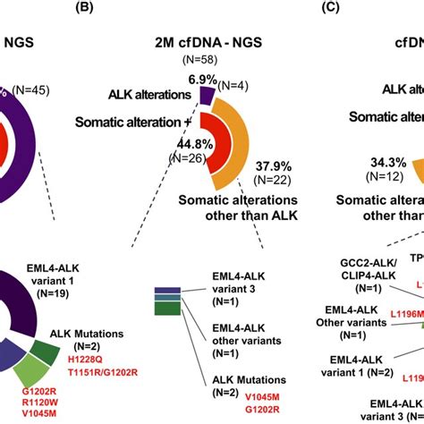 Longitudinal Analysis Of Cfdna‐ngs In Alk Positive Nsclc Patients Who Download Scientific