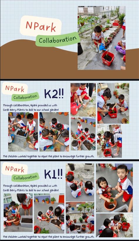 Budding Greenies Caring For Natural And Environment Start Small