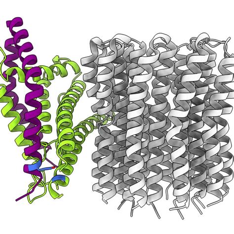 Biochemical Properties Of Type Iii Restriction Modification Enzymes
