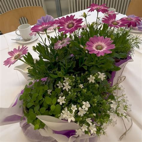 Ehemaligentreffen Mildred Scheel Schule