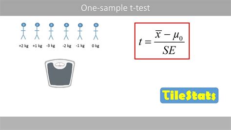 One Sample T Test What Are T Tests A Guide To Analyzing Survey