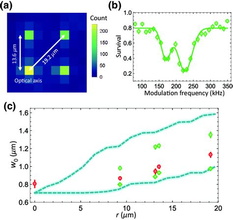 The Atom Array And The Metalens Fov A A Pgc Fluorescence Image Of An Download Scientific