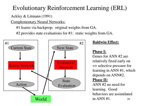 Ppt Relationships Between Evolutionary Computation And Biology