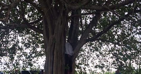 Winbratech S Blog Photos Man Found Hanging From Tree Suicide Note Recovered