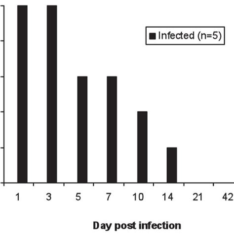 Cytopathic Effect Cpe In Three Different Cell Lines Inoculated With Download Scientific