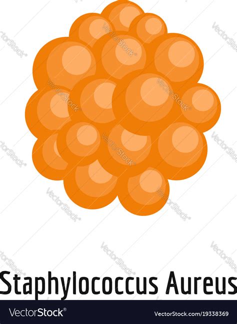 Staphylococcus Aureus Icon Cartoon Style Vector Image
