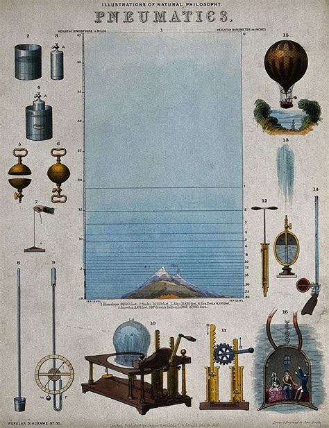 Pin By Rawrior Wisdom On At Last Science Scientific Illustration