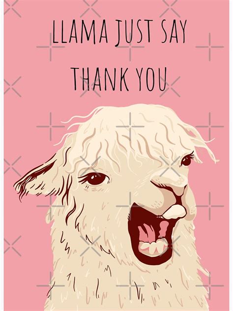 Llama Just Say Thank You Greeting Card Thanks Sticker For Sale By
