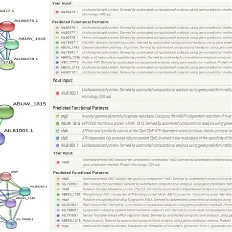 Protein Protein Interaction Network Of Uncharacterized Proteins Download Scientific Diagram