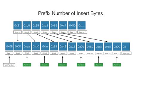 Slae 473 Assignment 4 Custom Shellcode Insertion Encoder