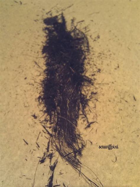 Cuttlebug B Plate Cook Scrapbooking Techniques Card Making Tips