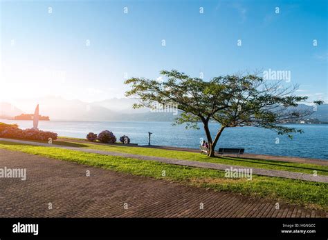 Tree On Water Background Stock Photo Alamy