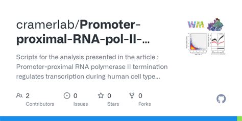 Github Cramerlab Promoter Proximal Rna Pol Ii Termination Regulates
