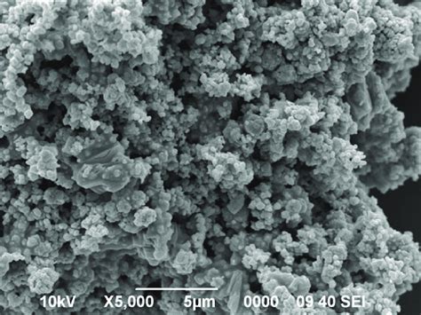 Scanning Electron Microscopy Image Of Zinc Oxide Nanoparticles With
