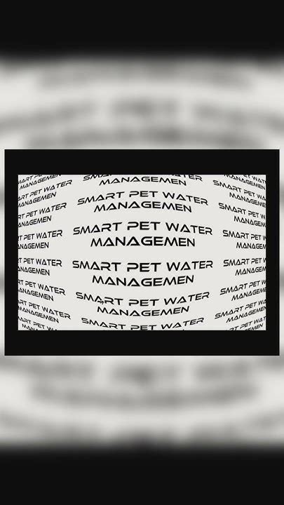 E Commerce Website Using Html Css And Javascript Shorts Programerved Short Coding Gtu