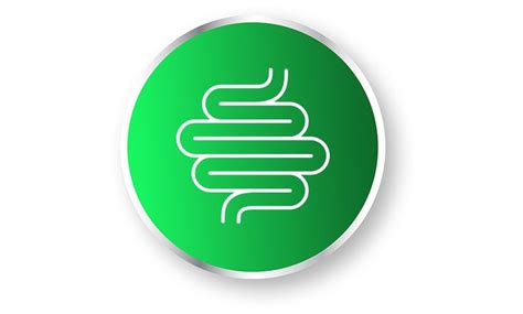 Buy Bioglan Platinum Digest Eze Multi Action 40 Capsules Online At Chemist Warehouse