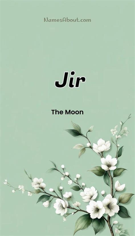 Jir Name Meaning And Origins Nicknames Sibling Ideas