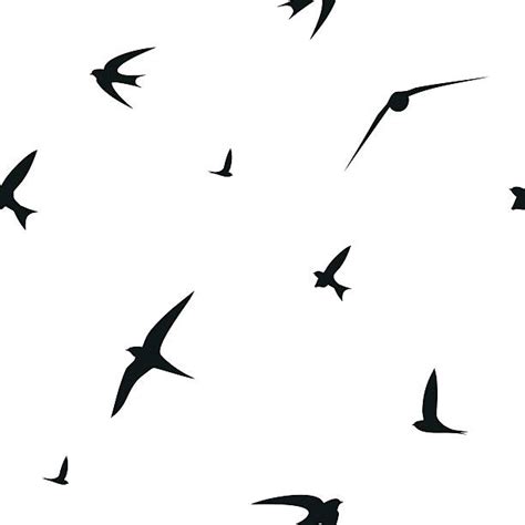 Swift Bird Sleeping Clipart