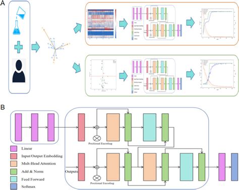 A Transformer Based Deep Learning Model For Identifying The Occurrence Of Acute Hematogenous