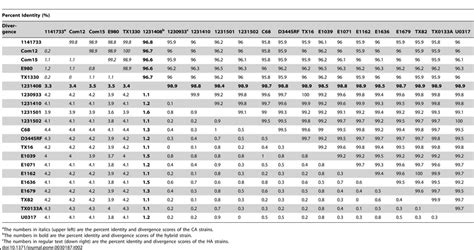 Percent Identity And Divergence Score Matrix Of The 100 Concatenated