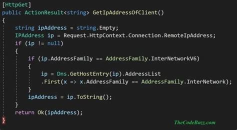 Get Client IP Address In ASP NET Core Guidelines TheCodeBuzz