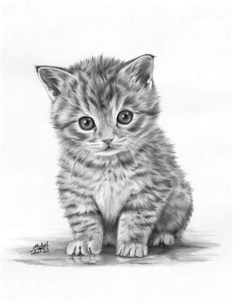 Realistic Cute Cat Drawing Chriskruwforbes