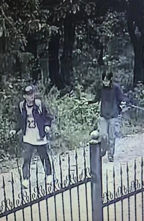 两男子在秦岭鹿角梁失联6天，警方联合多支救援队仍在搜救救援队失联陕西省新浪新闻