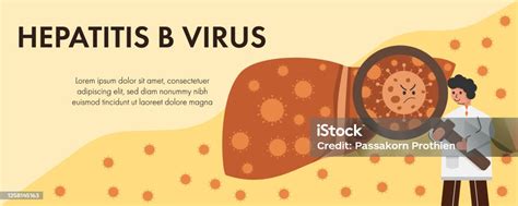 의사는 간에서 B형 간염 바이러스를 검사합니다 간염에 대한 스톡 벡터 아트 및 기타 이미지 간염 바이러스 바이러스감염