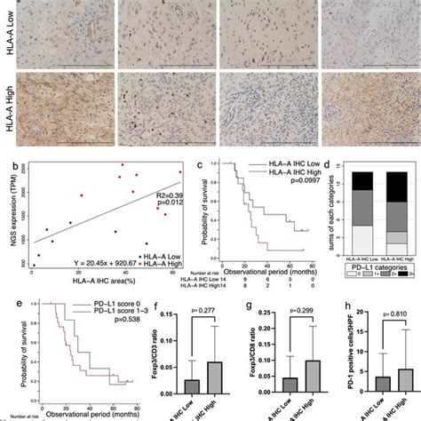 Whole Transcriptome Analysis And Os Of Patients Stratified By Hla Download Scientific Diagram